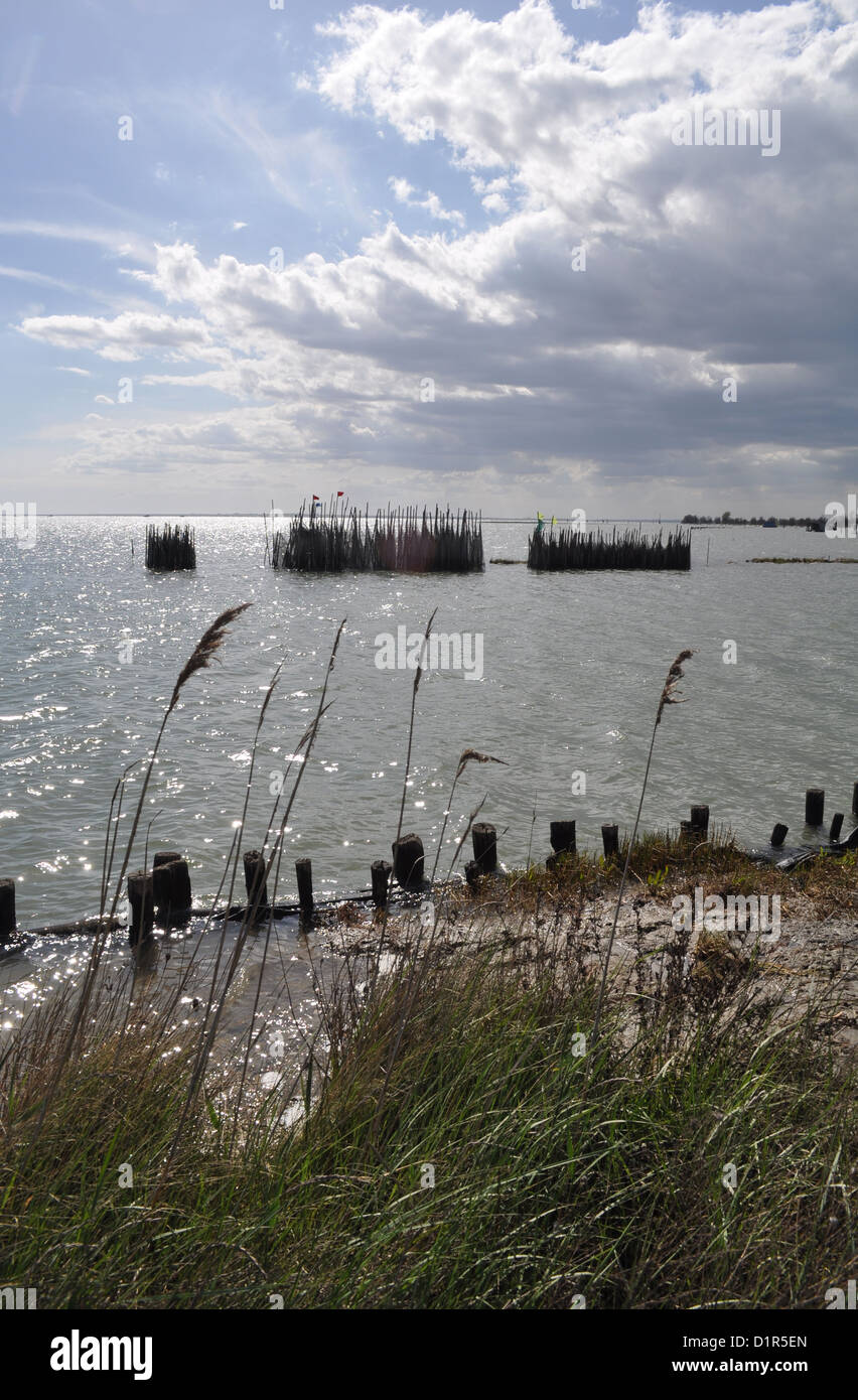 Gorino, Emilia-Romagna, Italy Stock Photo - Alamy