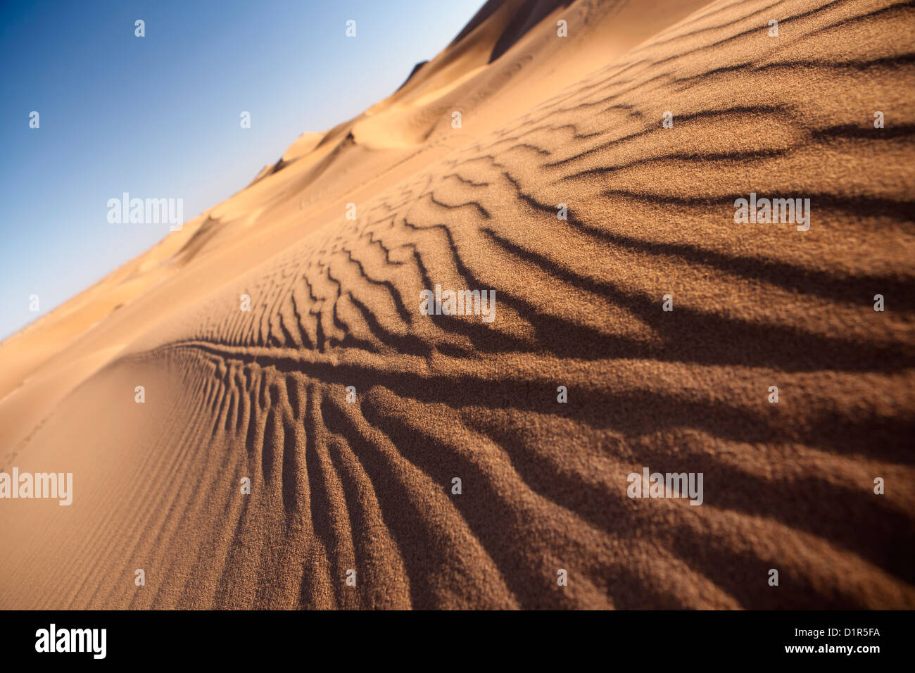 Morocco, M'Hamid, Erg Chigaga sand dunes. Sahara desert. Detail ripple ...