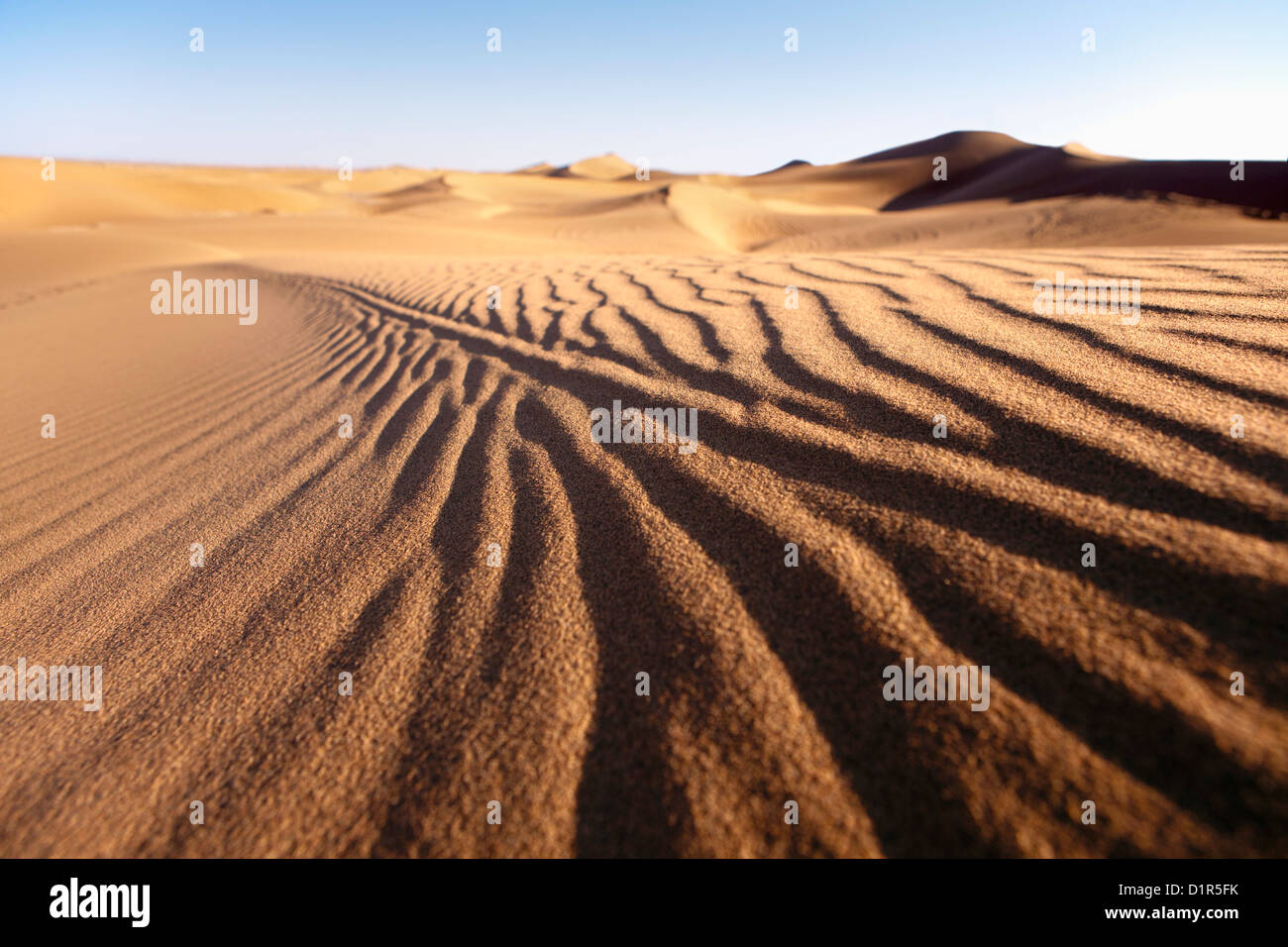 Morocco, M'Hamid, Erg Chigaga sand dunes. Sahara desert. Detail ripple ...