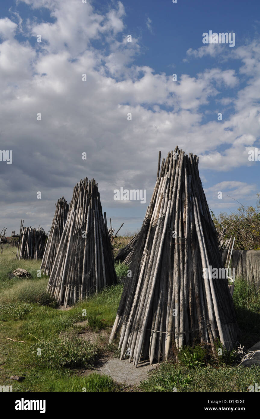 Gorino, Emilia-Romagna, Italy Stock Photo - Alamy