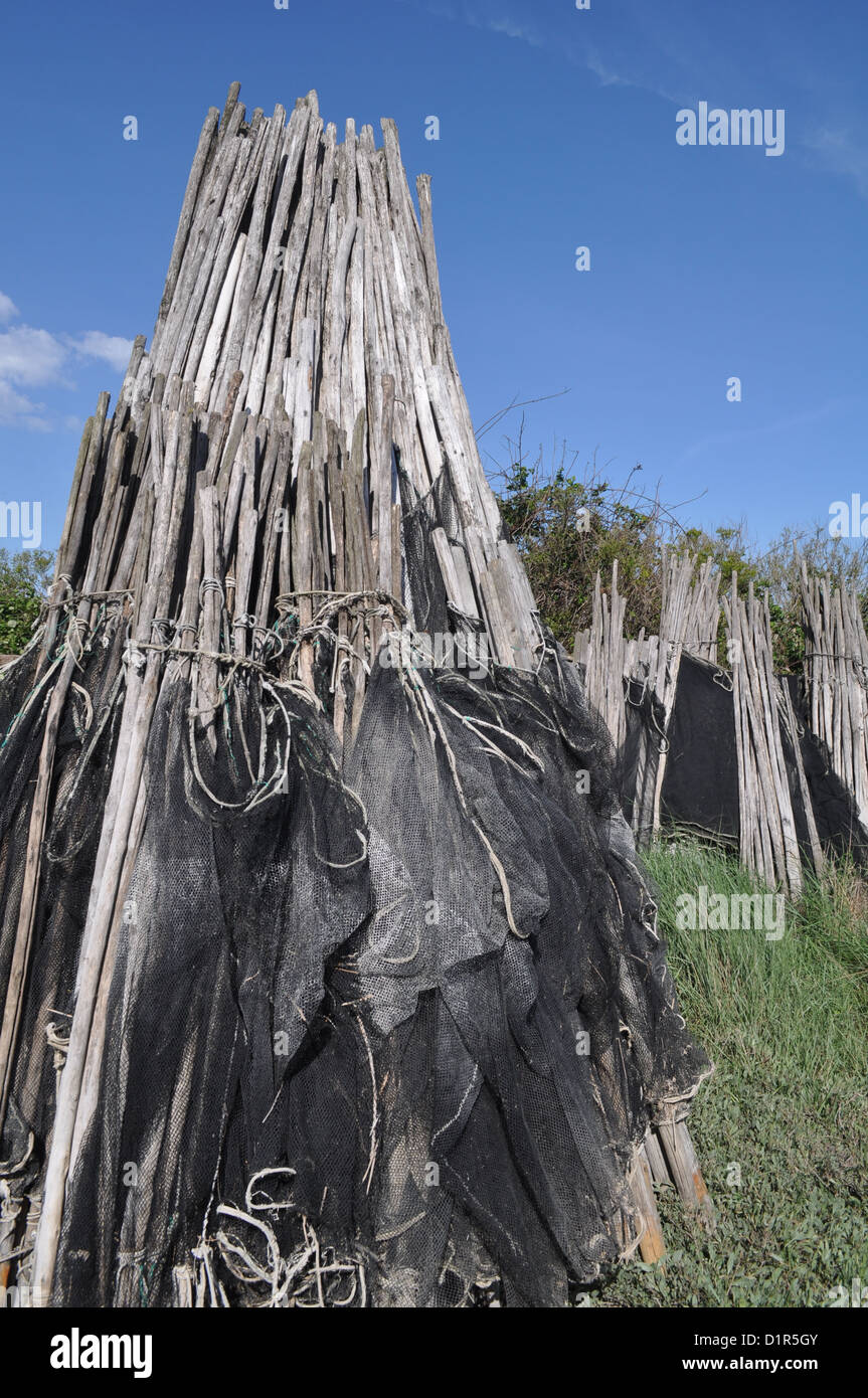 Gorino emilia romagna italy hi-res stock photography and images - Alamy