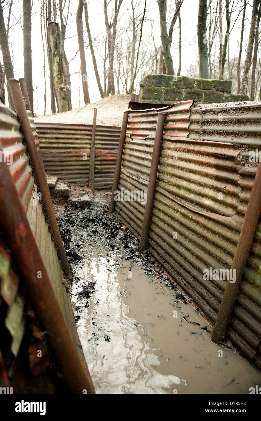 Part of the system of World War One trenches at Sanctuary Wood near ...