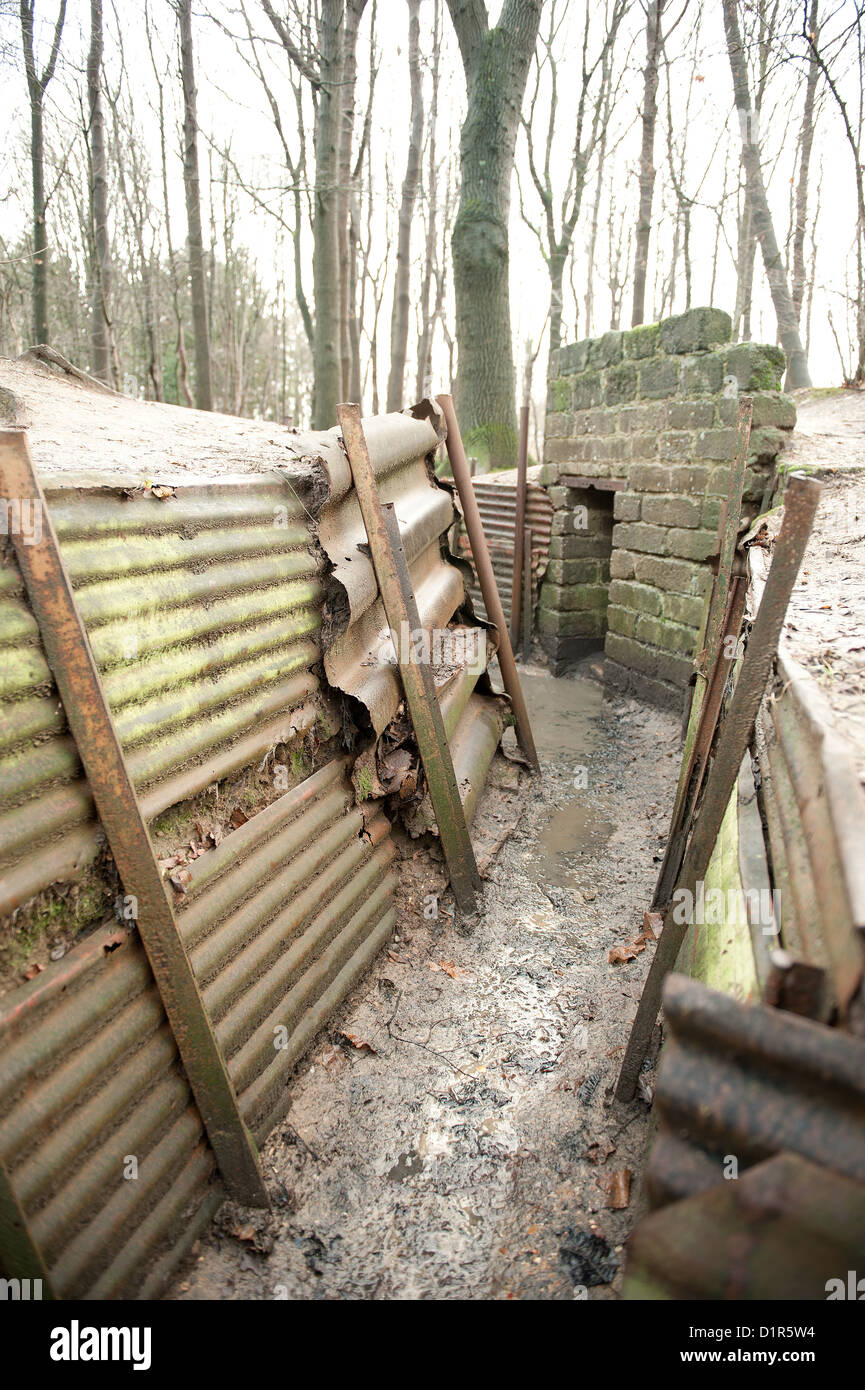 Part of the system of World War One trenches at Sanctuary Wood near ...