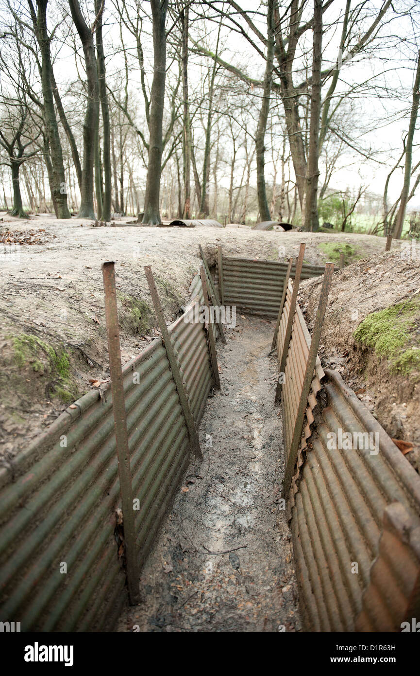 Part of the system of World War One trenches at Sanctuary Wood near ...