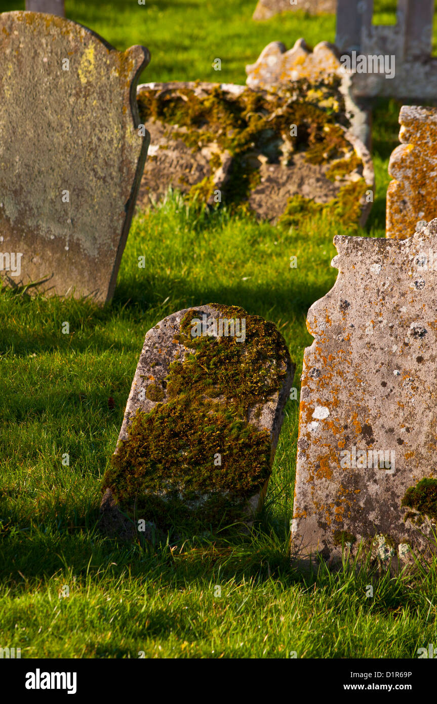 Old gravestones covered in moss Stock Photo - Alamy