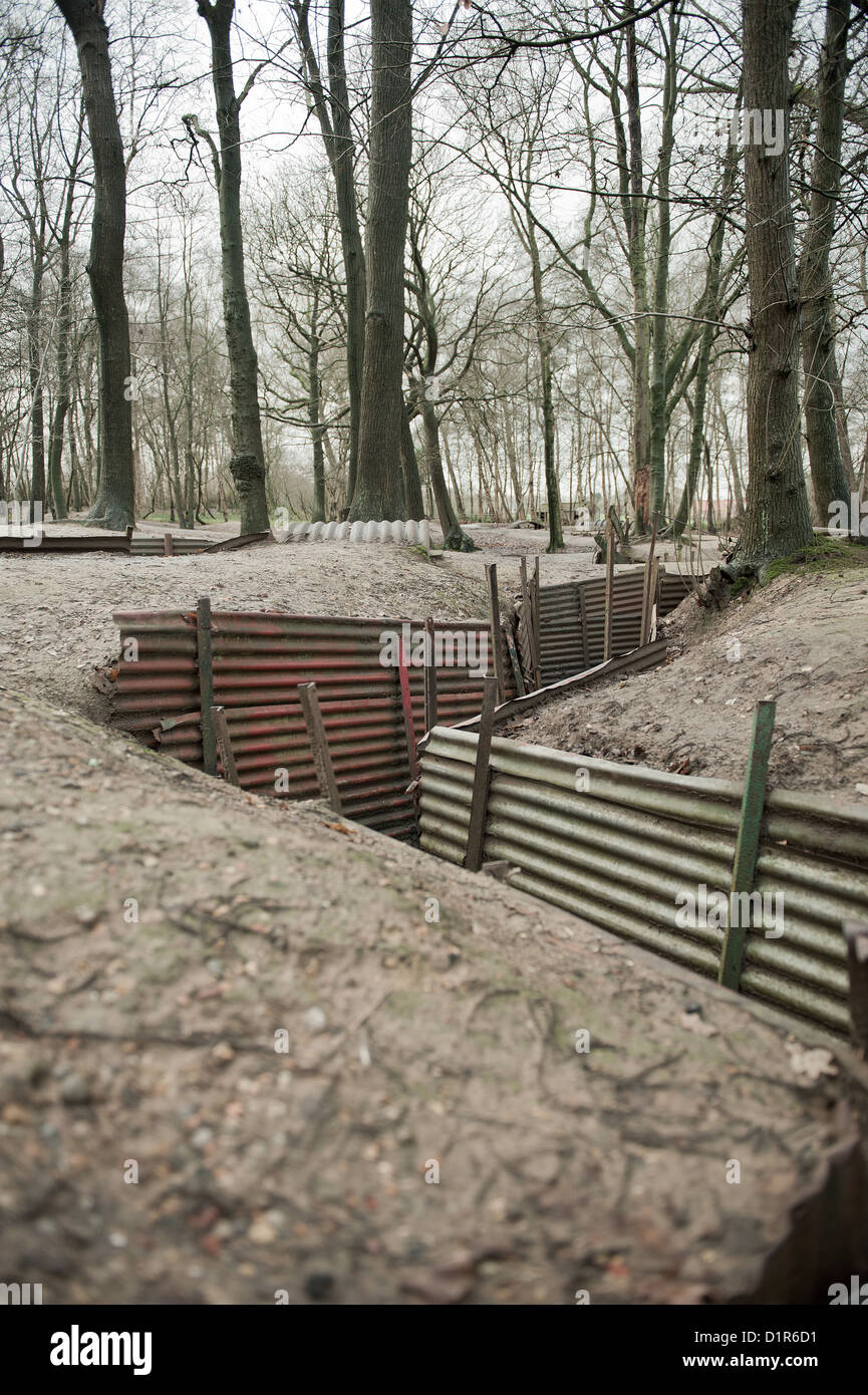 Part of the system of World War One trenches at Sanctuary Wood near ...