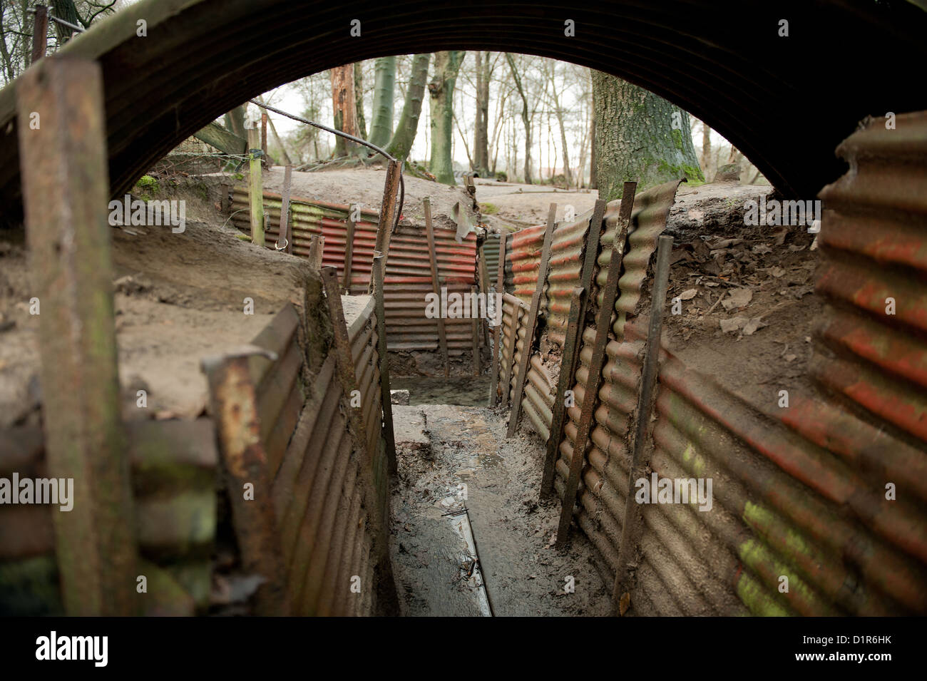 Part of the system of World War One trenches at Sanctuary Wood near ...