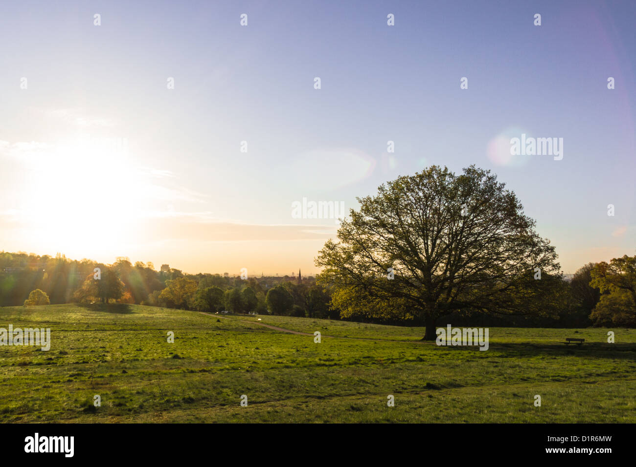 Daybreak over Parliament Hill, London Stock Photo - Alamy