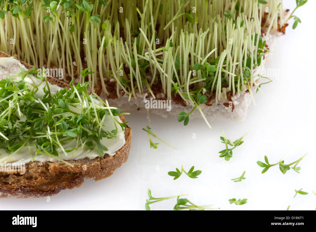 A bread with butter and cress in front of fresh cut cress Stock Photo ...