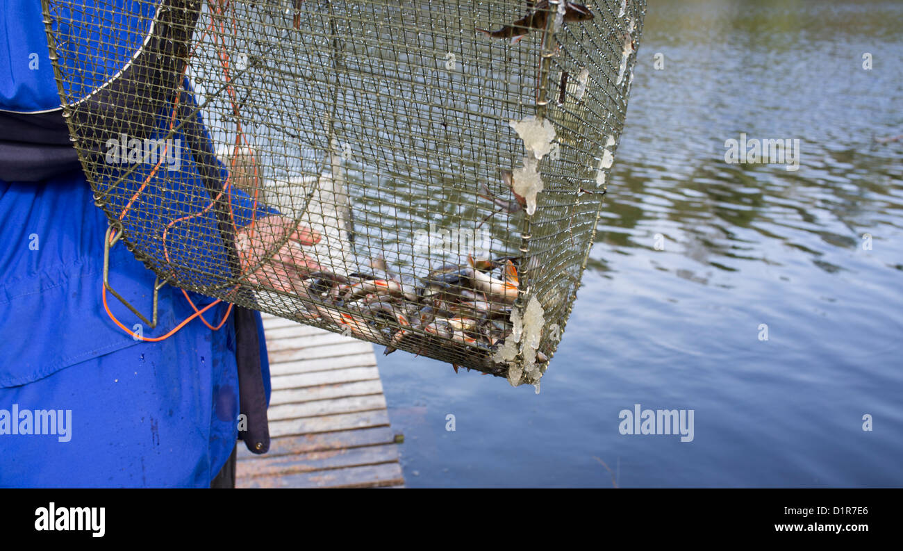 Fish trap hi-res stock photography and images - Alamy