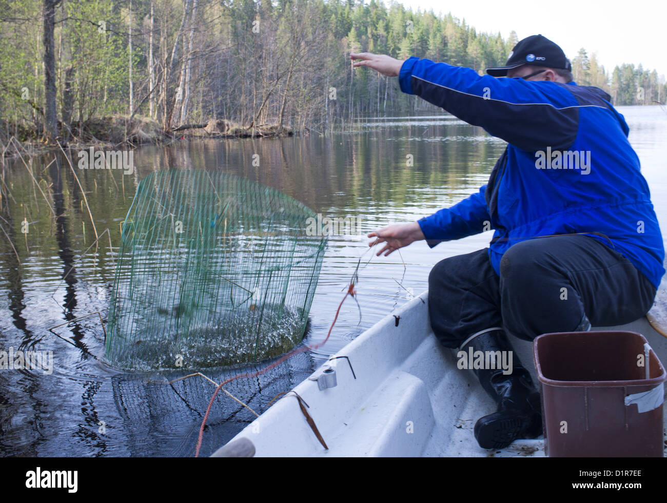 Man throwing fish-trap , made of wires , back to lake , Finland Stock ...