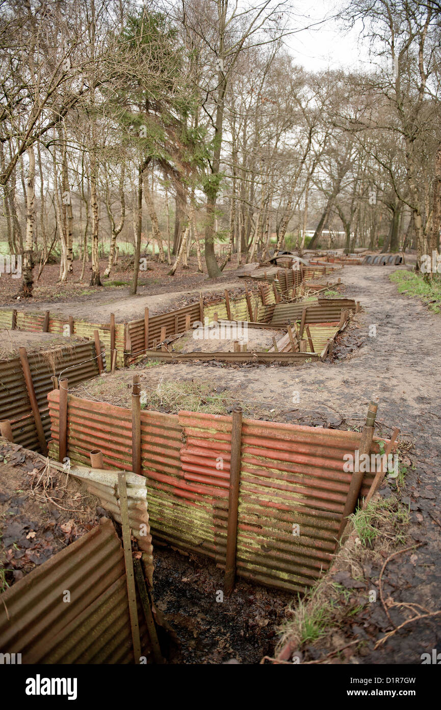 Part of the system of World War One trenches at Sanctuary Wood near ...