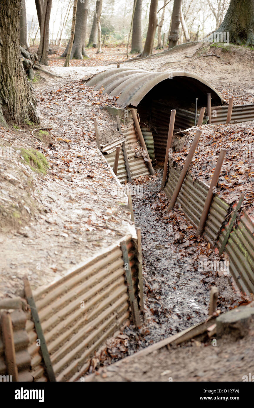 Part of the system of World War One trenches at Sanctuary Wood near ...