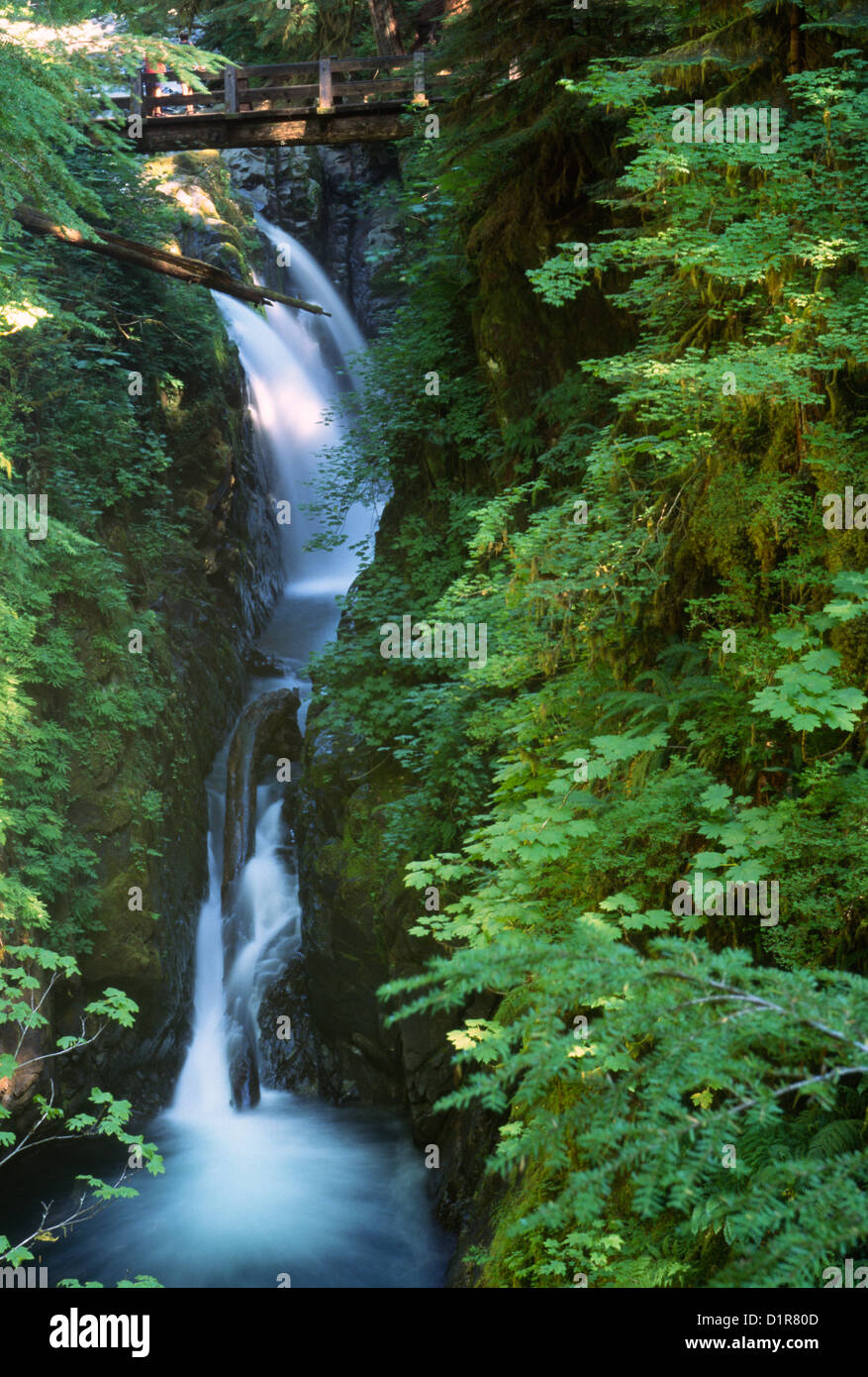 Sol Duc Falls Stock Photo - Alamy