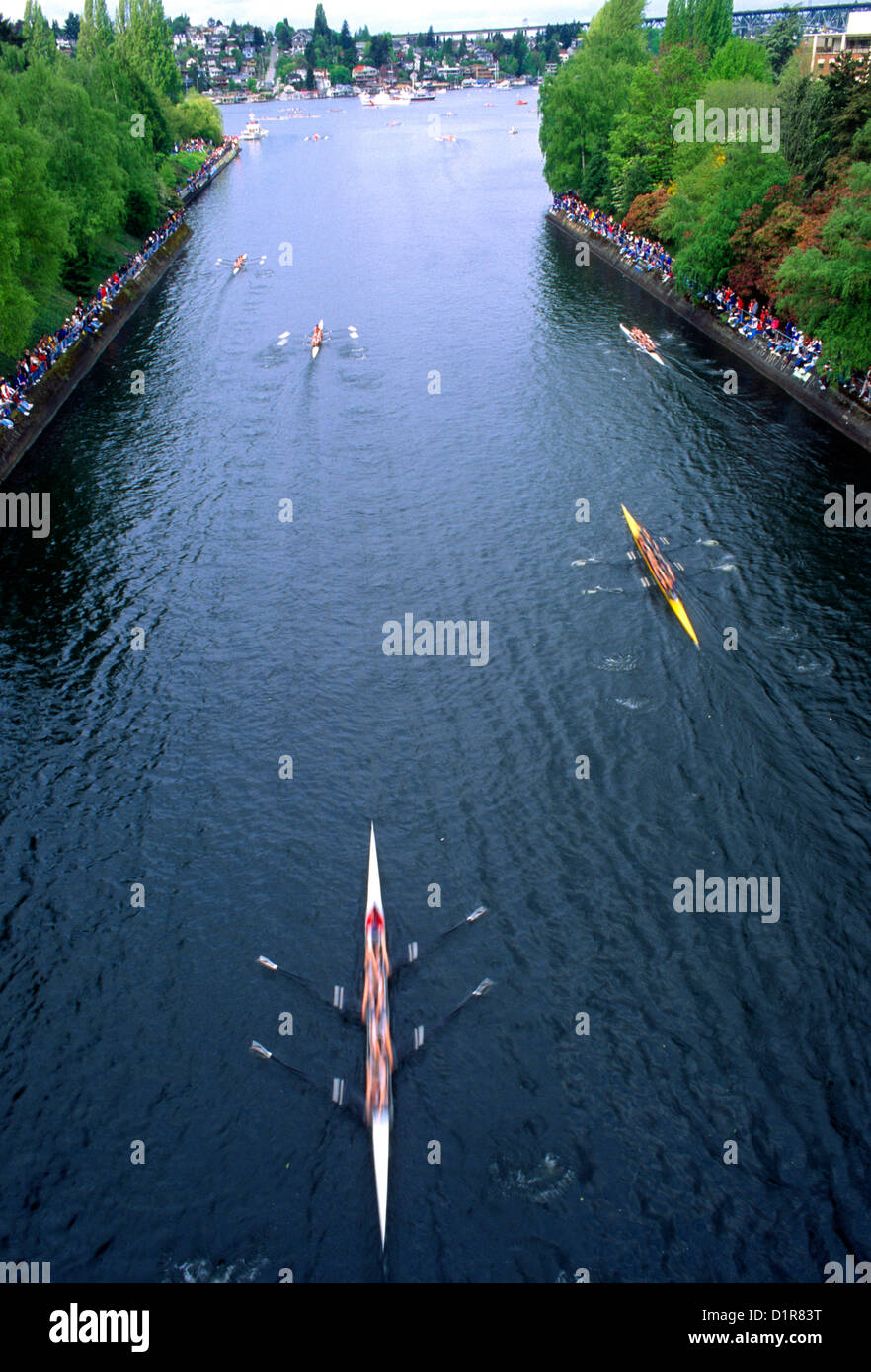 Crew Race, Seattle Stock Photo - Alamy