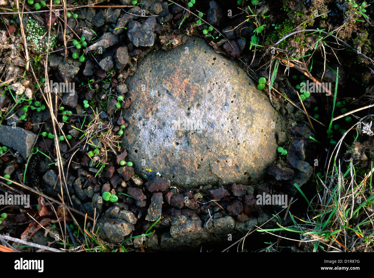 Disintegrating hi-res stock photography and images - Alamy