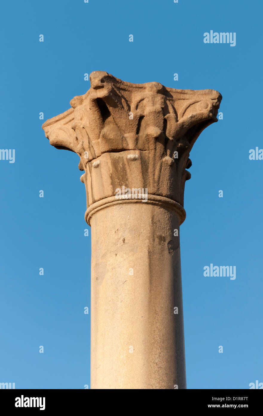 Pompey's Pillar, Roman Triumphal Column in Alexandria, Egypt Stock ...