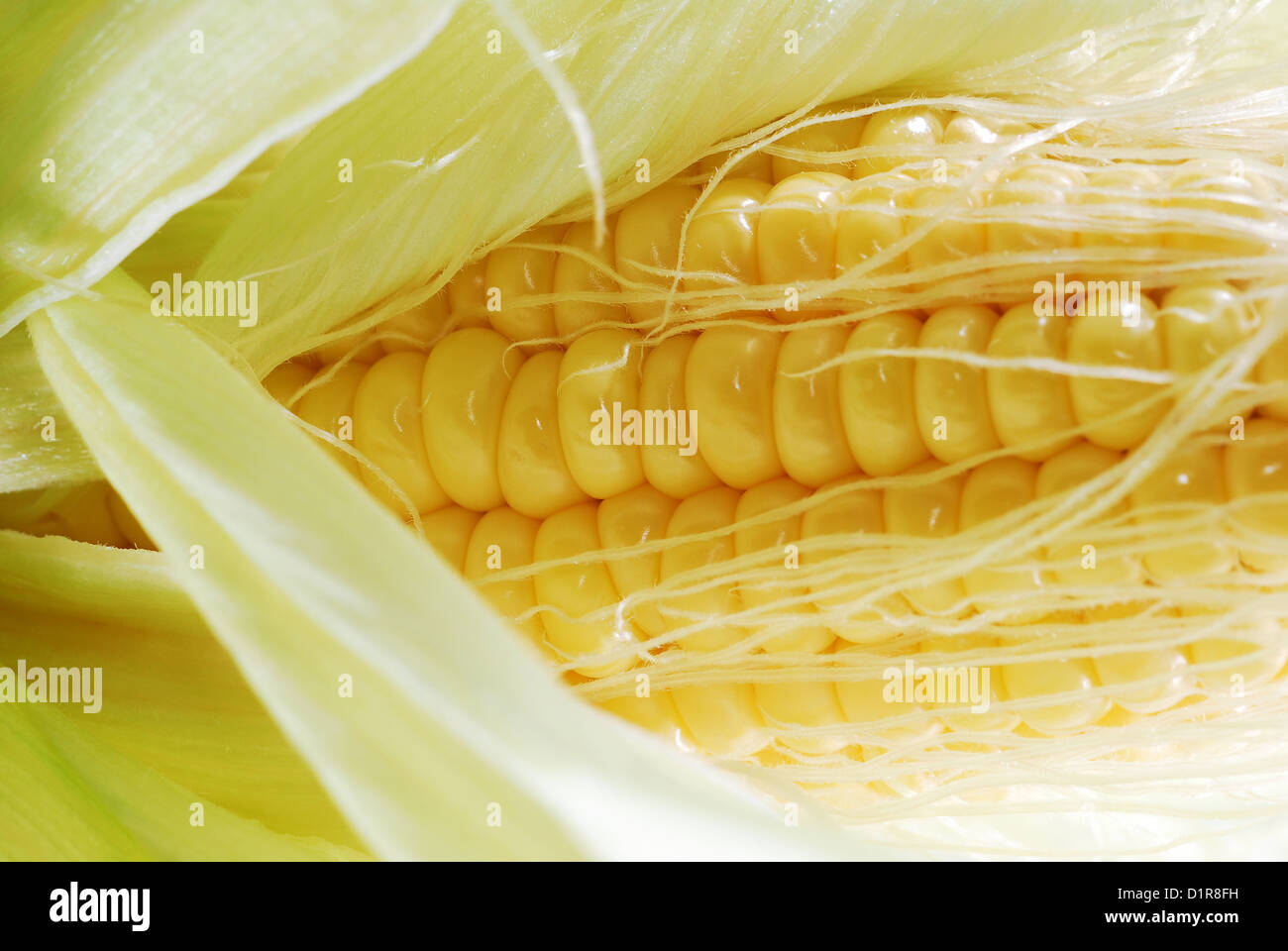 Fresh corn in cob background Stock Photo - Alamy