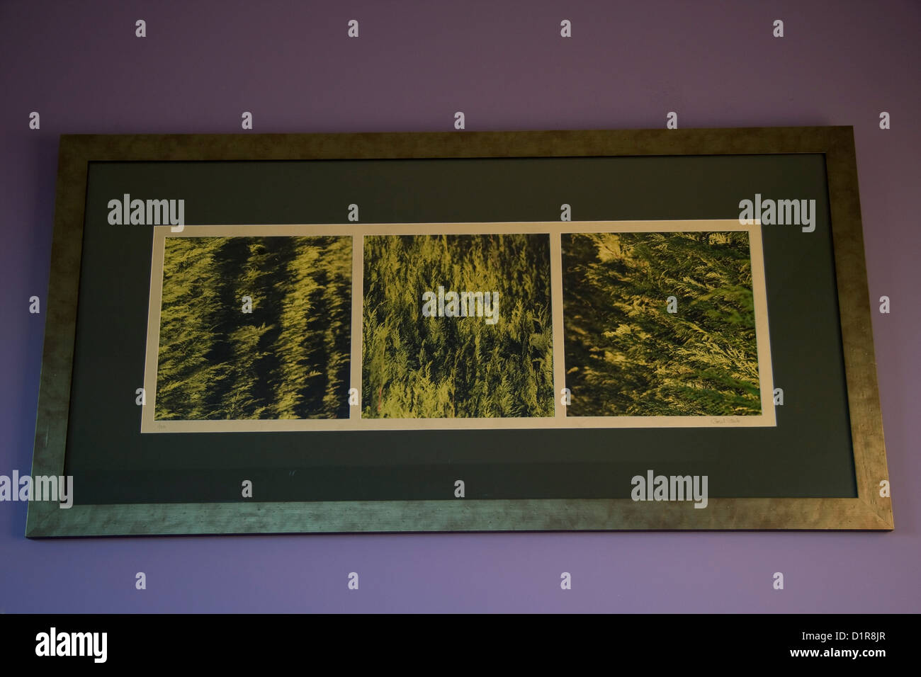 Nelson steele hi-res stock photography and images - Alamy