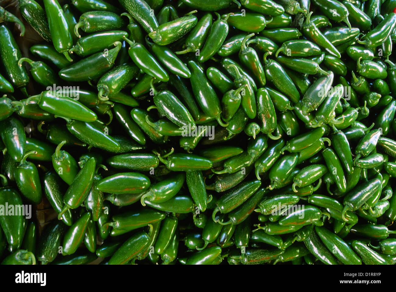 jalapeño alapeno Peppers Stock Photo - Alamy