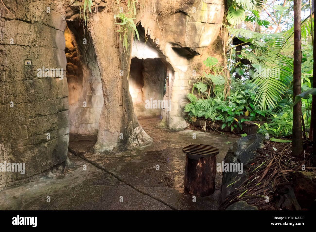 Artificial caves inside the South American dome, Randers Regnskov zoo ...