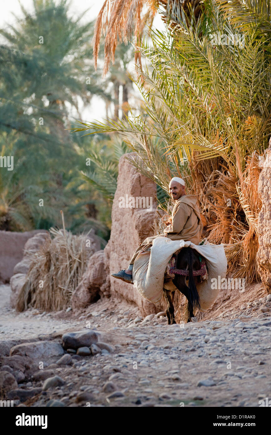 Morocco zagora man donkey hi-res stock photography and images - Alamy