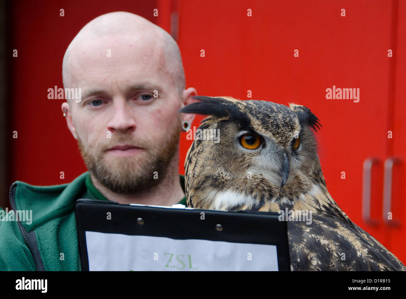 LONDON, UNITED KINGDOM. 3 JANUARY 2013. A Zoo Keeper with an Owl during ...