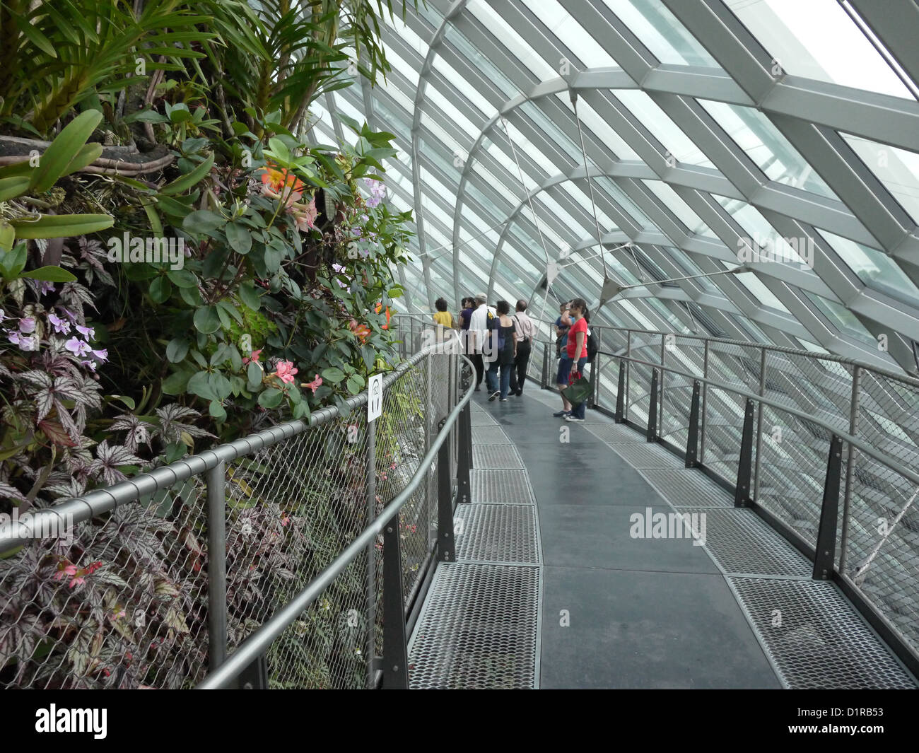 cloud forest walkway inside "Gardens by the Bay Stock Photo - Alamy