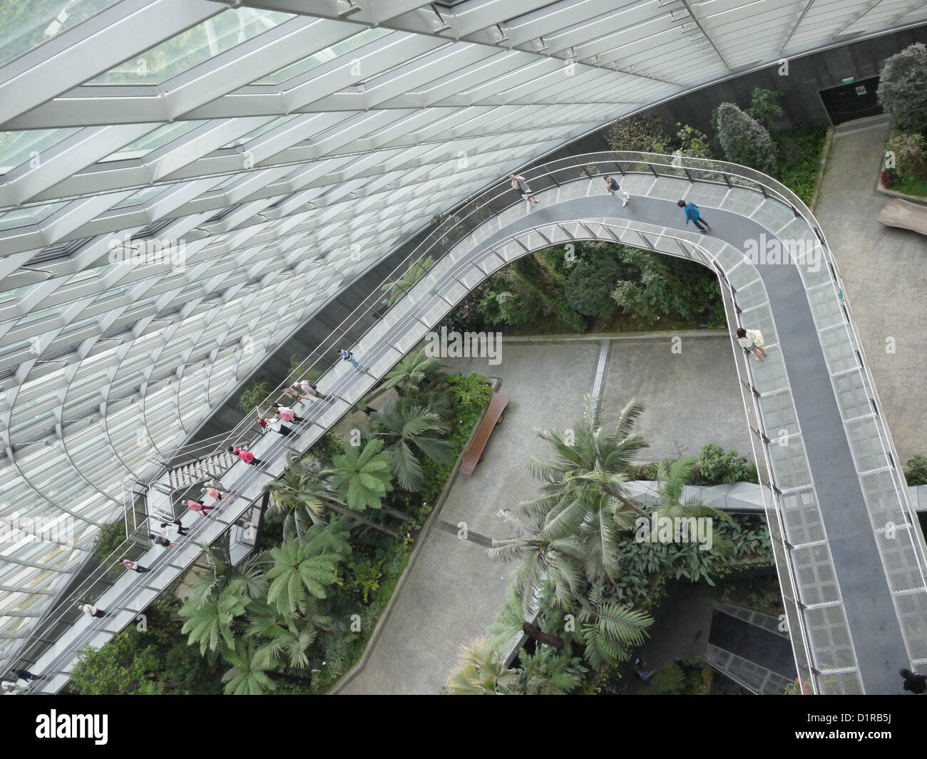 cloud forest walkway Singapore attraction Stock Photo - Alamy