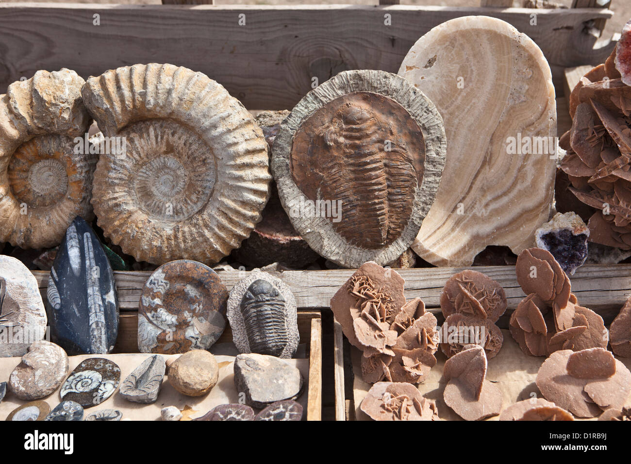 Tichka Stock Photos & Tichka Stock Images - Alamy