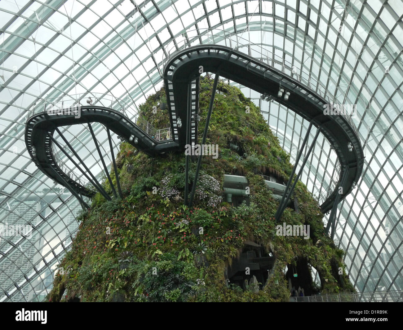 cloud forest walkway Stock Photo - Alamy