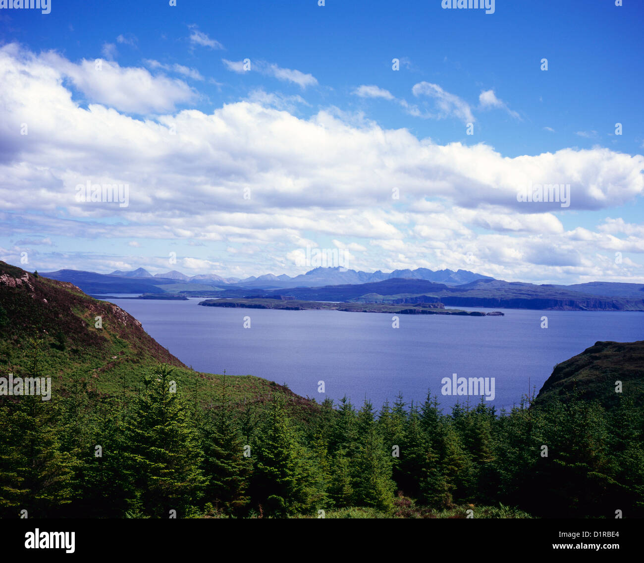 Rebel's wood skye hi-res stock photography and images - Alamy