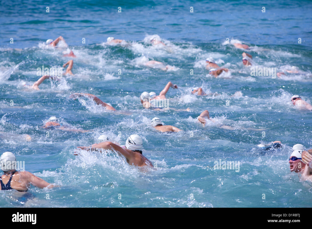 Swimmers compete in avalon beach hi-res stock photography and images ...