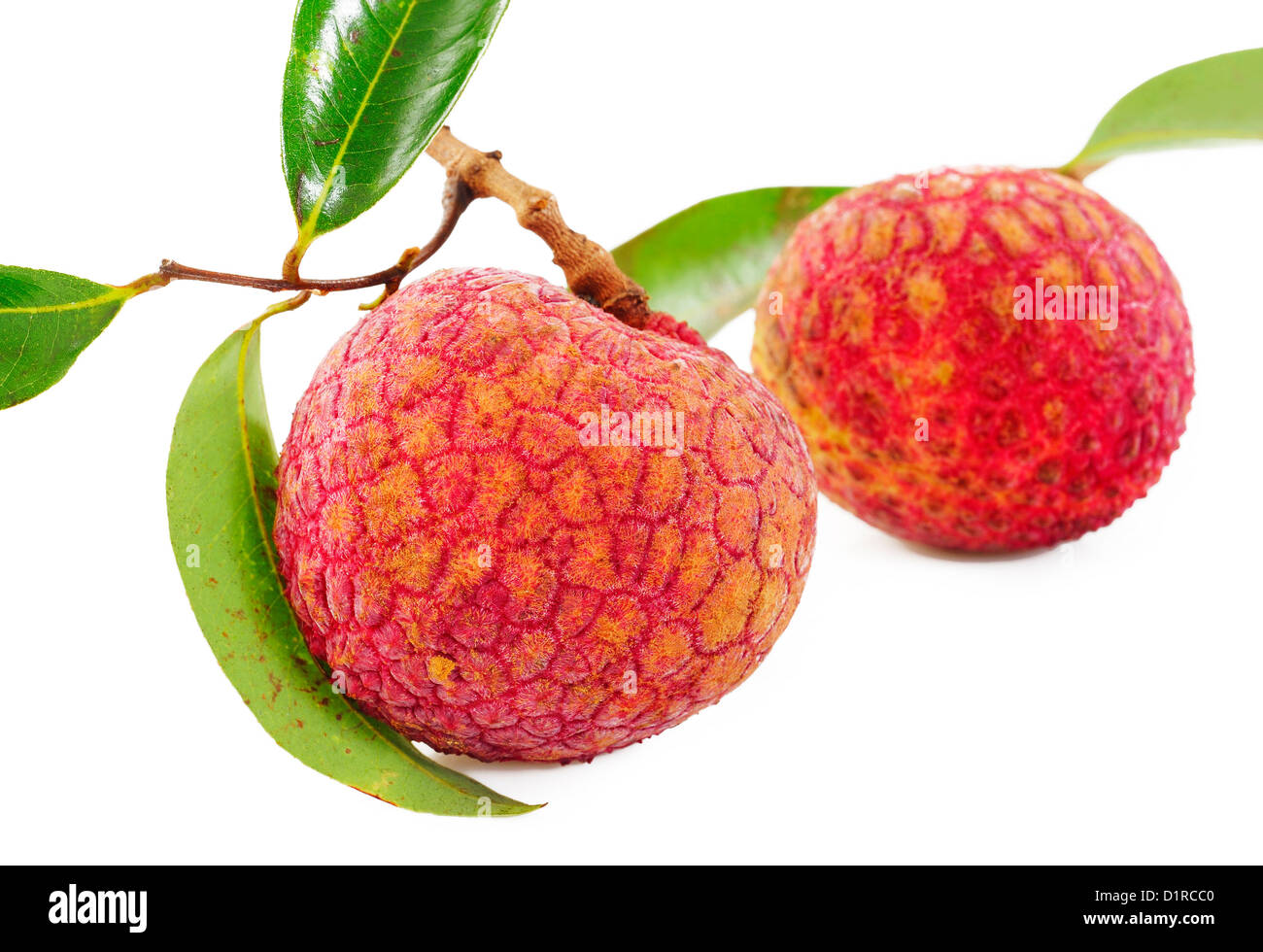Lychees hi-res stock photography and images - Alamy