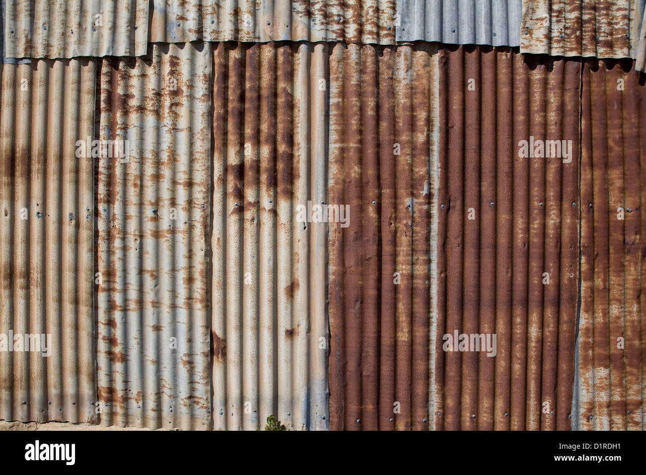 Rusty corrugated iron pattern texture On gold miner's cottage ...