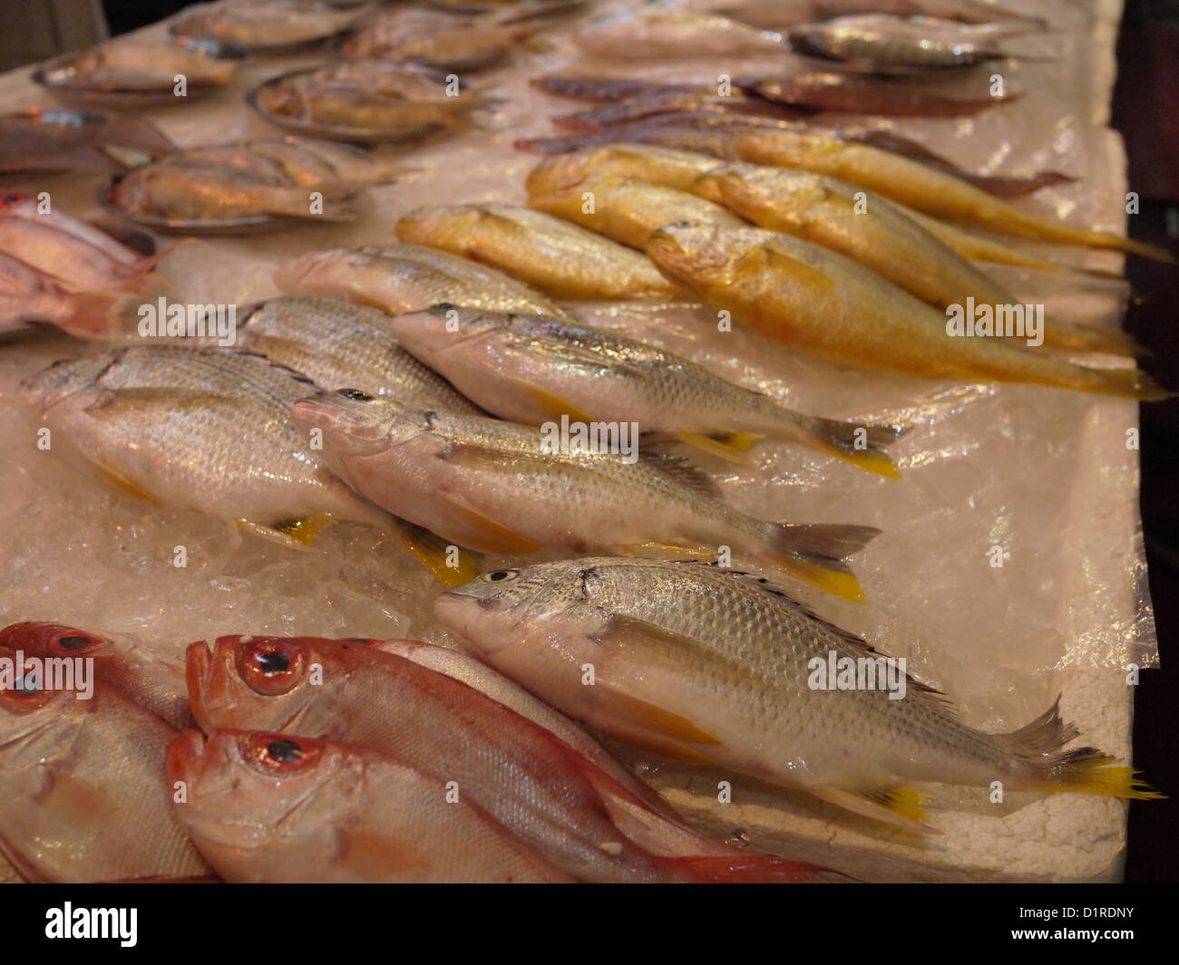retail fish market Stock Photo - Alamy