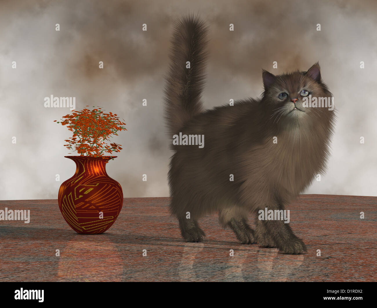 Rufus, an Abyssinian fluffy cat, has absolutely soulful eyes Stock ...