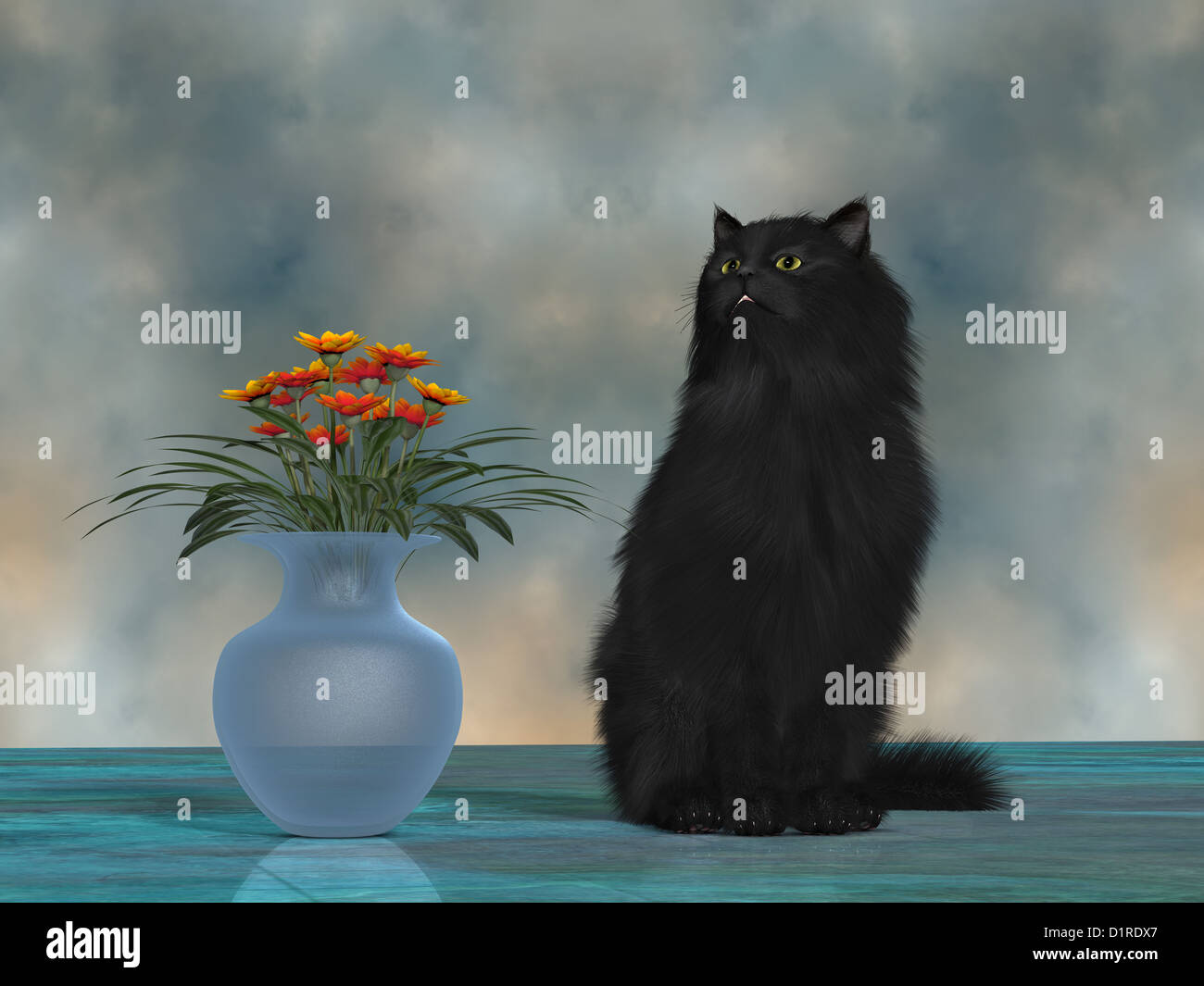 Simba, the fluffy black cat, gives off haughty grander knowing he is a ...