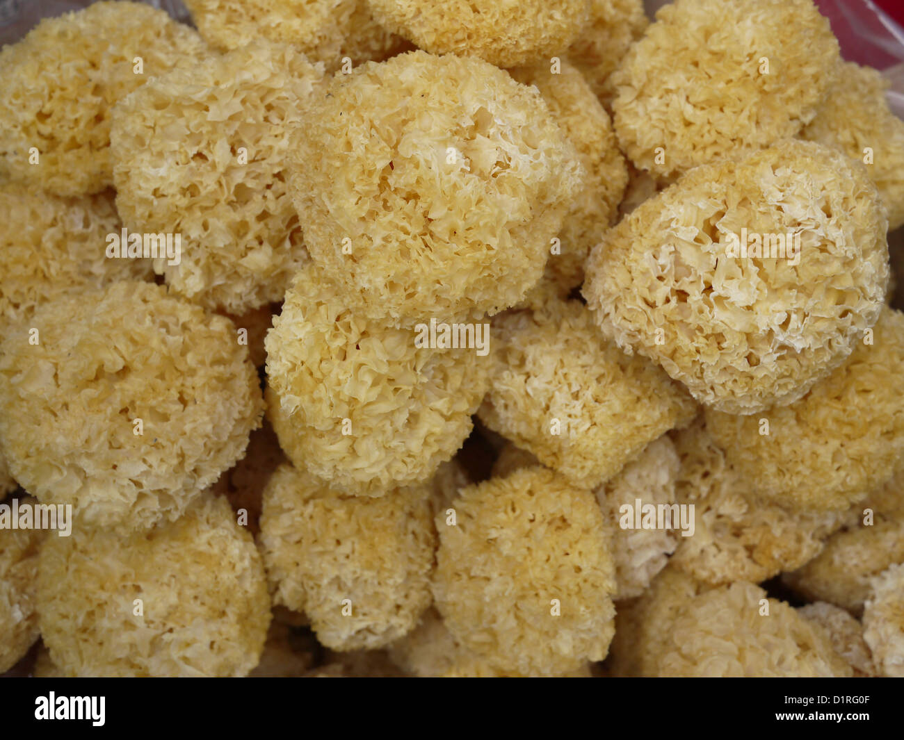 dried snow fungus "silver ear" fungus white jelly mushroom Stock Photo ...