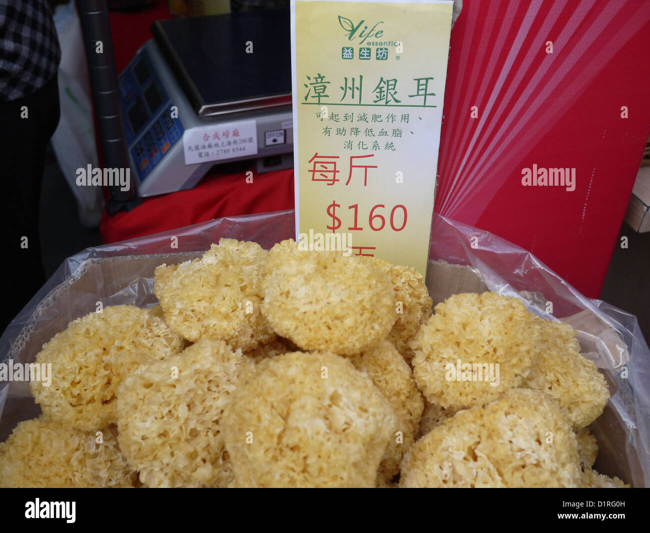 dried snow fungus "silver ear" fungus white jelly mushroom Stock Photo ...