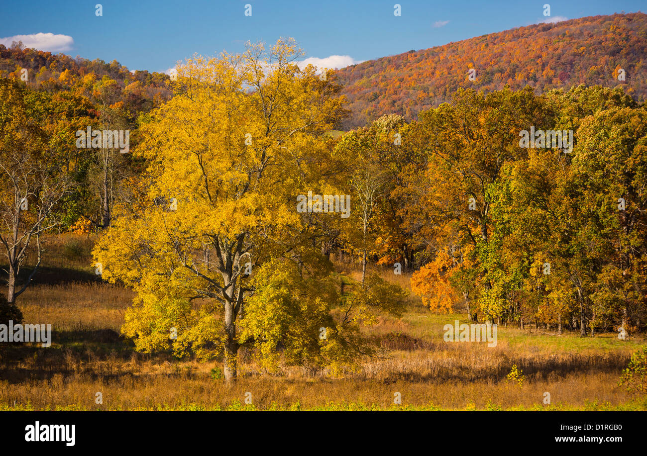 Virginia landscape hi-res stock photography and images - Alamy