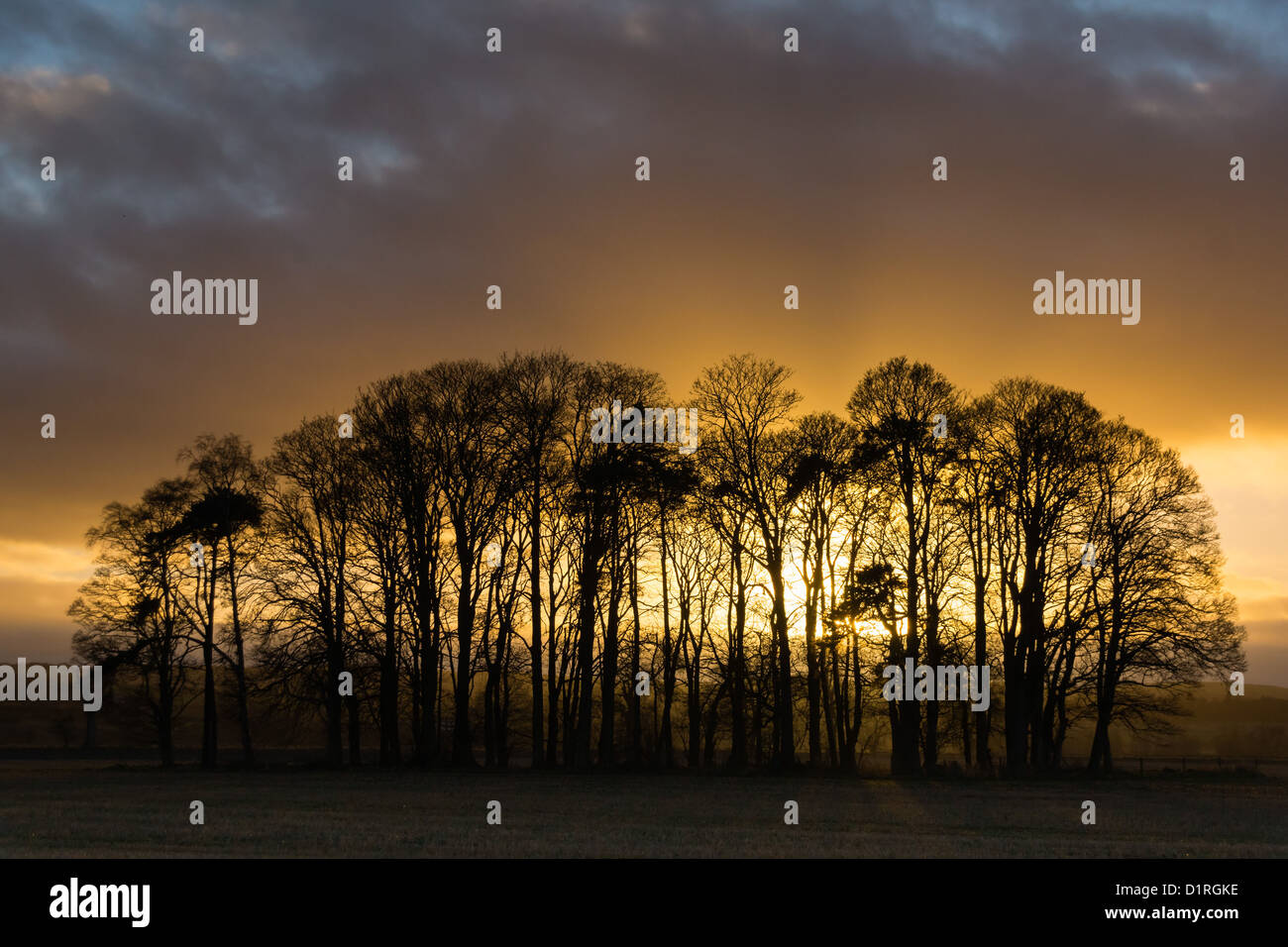 Scottish borders landscape hi-res stock photography and images - Alamy