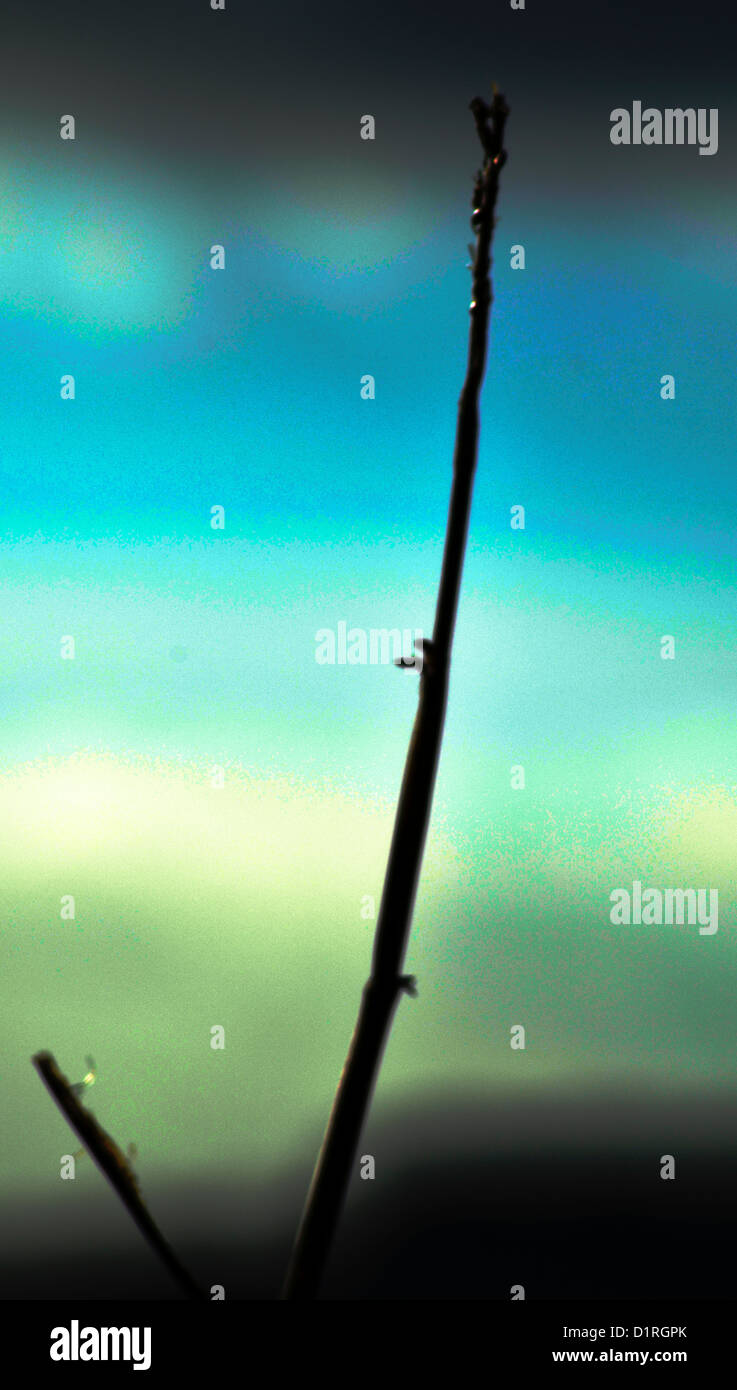 Drop logo hi-res stock photography and images - Alamy