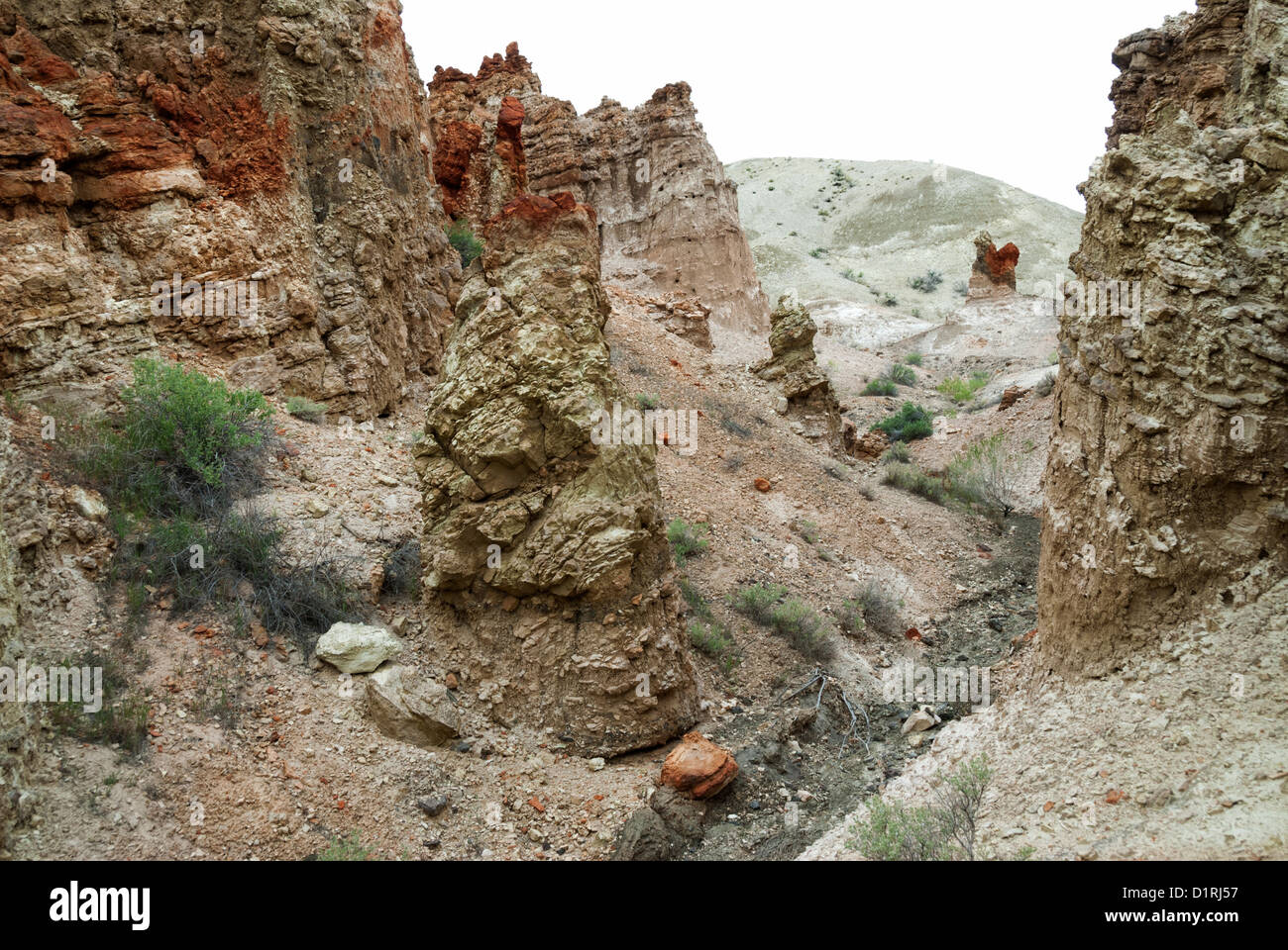 Eroded badlands in Chaulk Basin, Owyhee River, Oregon Stock Photo - Alamy