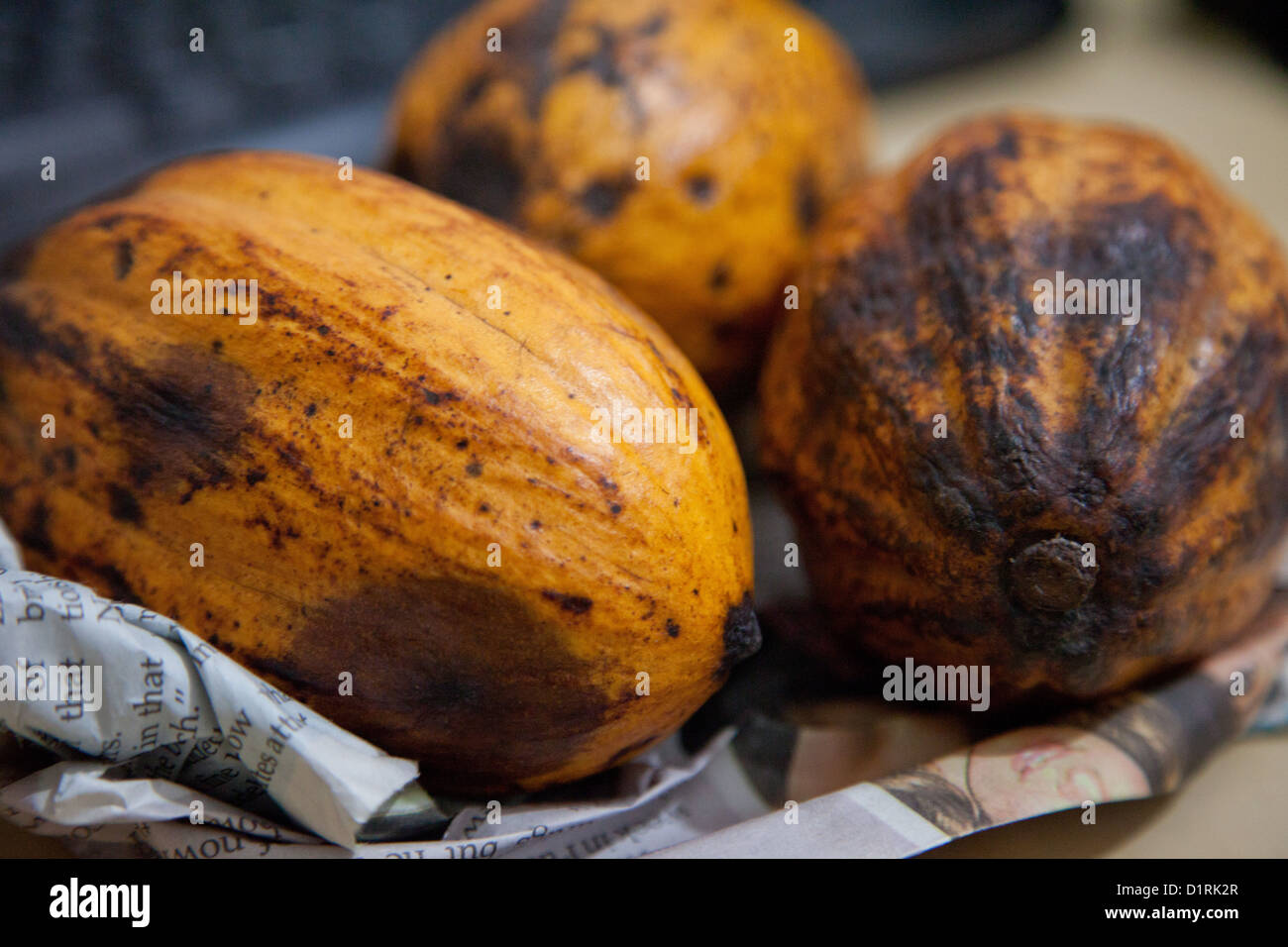 Yellow Cocoa Pods (Cacao) packshot Stock Photo - Alamy