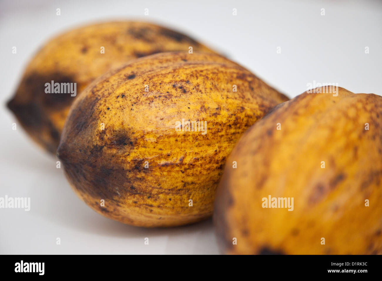 Yellow Cocoa Pods (Cacao) packshot Stock Photo - Alamy