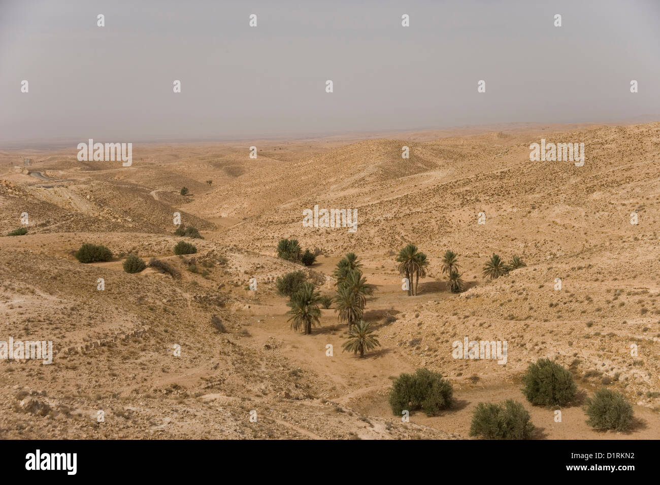 Douz village hi-res stock photography and images - Alamy