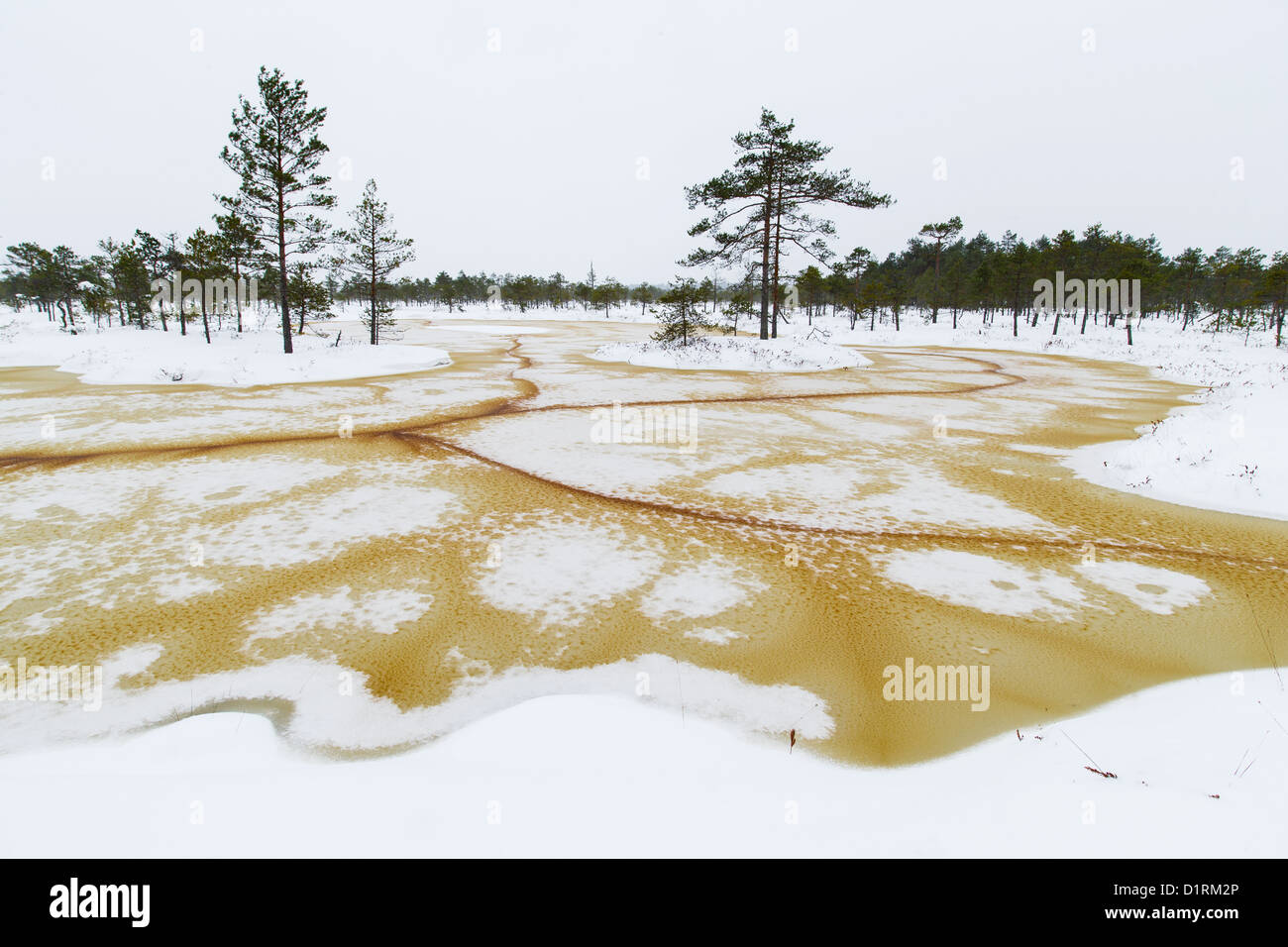 Frozen bog hi-res stock photography and images - Alamy