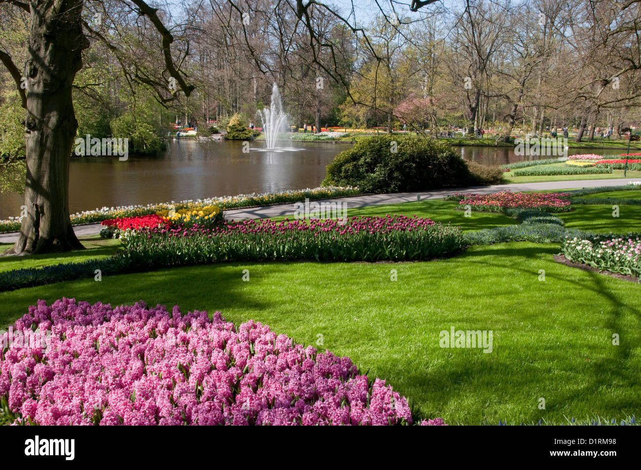 Keukenhof Gardens, Lisse, Holland Stock Photo - Alamy