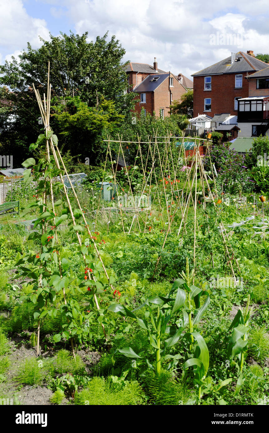Allotments uk hi-res stock photography and images - Alamy
